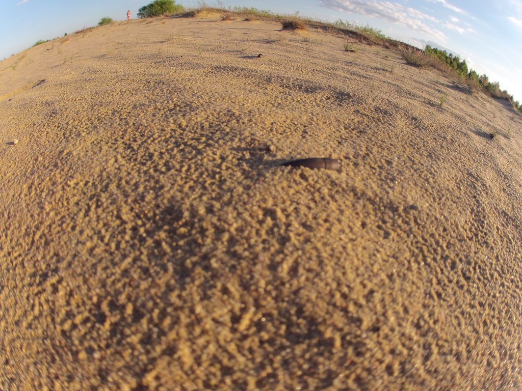 Dykumos saulė - Praeities Žvalgas